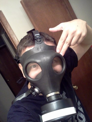 Israeli Civilian Gas Mask w/ Nato Filter: Safety Masks: Amazon.com ...