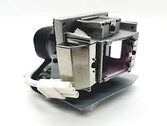 Amazon.com: Vivitek Genuine AL Lamp & Housing for The D510 Projector ...