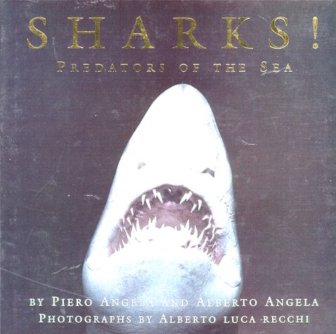 Sharks!: Predators of the Sea: Angela, Piero, Angela, Alberto, Recchi ...