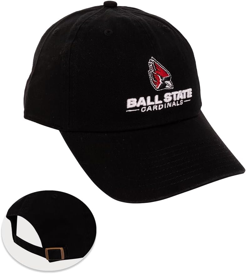 Amazon.com: Desert Cactus Ball State University Baseball Hat BSU ...