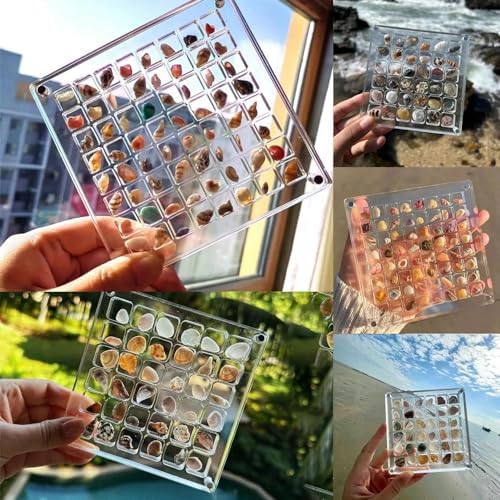 Acrylic Magnetic Seashell Display Box 2024 Shell Organizer Display Case ...