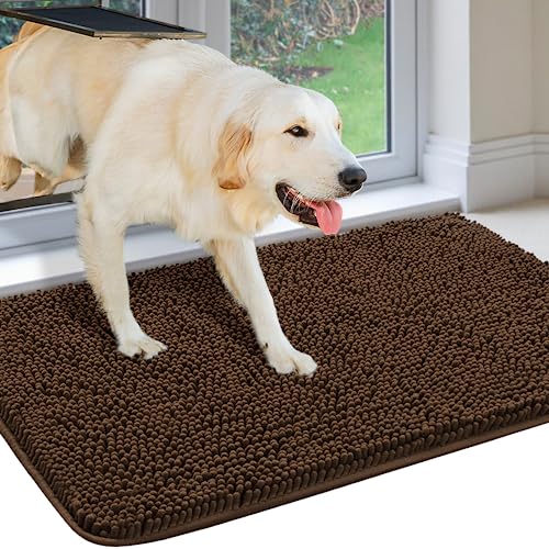 10 Best Mud Rugs For Dogs