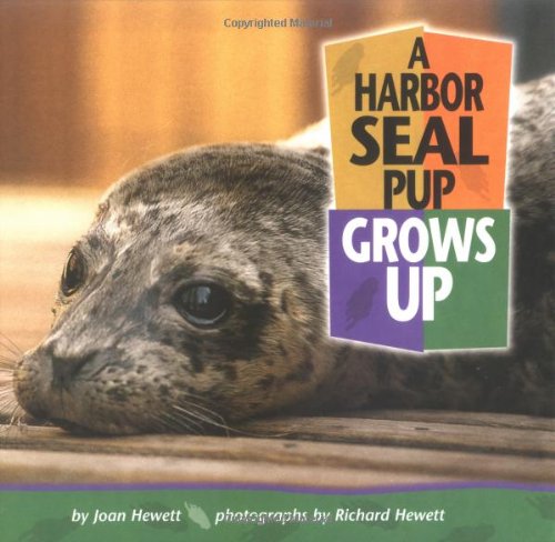 A Harbor Seal Pup Grows Up (Baby Animals): Hewett, Joan, Hewett ...