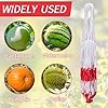 Amazon.com : Iceyyyy 30 Packs Watermelon Hammock Mesh Bags-2 Colors ...