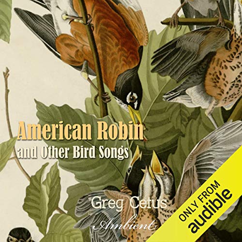 American Robin and Other Bird Songs: Nature Sounds for Mindfulness ...