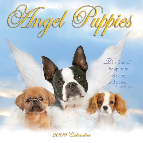 Angel Puppies 2009 Calendar: Milazzo, Robert, Kroke, Alex ...