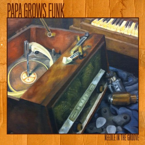 Play Needle in the Groove by Papa Grows Funk on Amazon Music