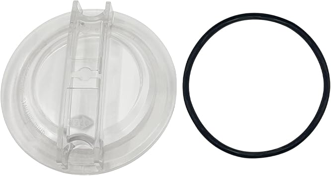 Amazon.com: Poolzilla SPX3100D Pool Pump Lid Replacement for Hayward ...