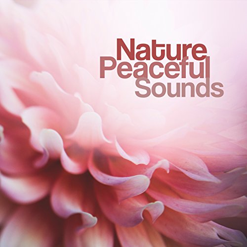 Play Nature Peaceful Sounds – Therapy Music for Mind, Soul, Sounds for ...