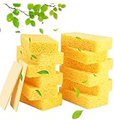Amazon.com: METUUTER 12-Count Kitchen Sponges- Compressed Cellulose ...