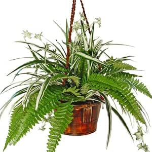 Amazon.com: Forever Silk 17-SP4705 Spring Green Splendor Basket : Home ...