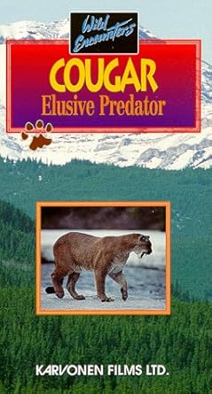 Amazon.com: Cougar: Elusive Predator - Wild Encounters [VHS] : Matthew ...