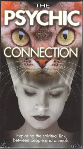Amazon.com: Psychic Connection: Exploring the spiritual link between ...