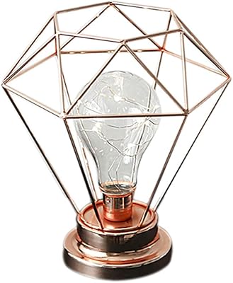 lewedo Vintage Metal Light Protection Cover, Retro Industrial Lamp ...