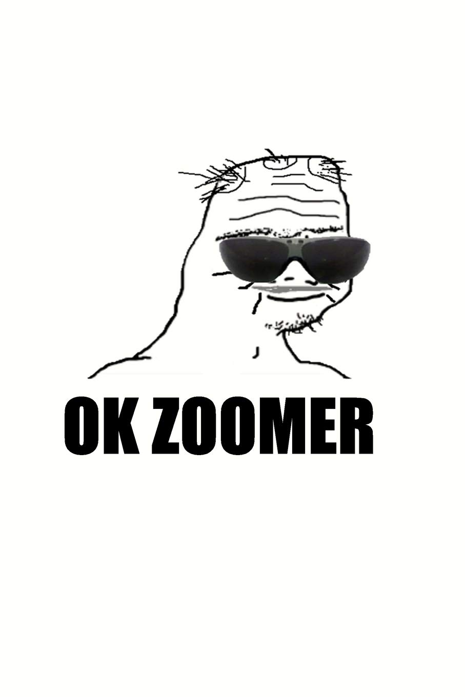Ok Zoomer - A Gag Notebook Cover with Ok Zoomer Meme For The Older ...