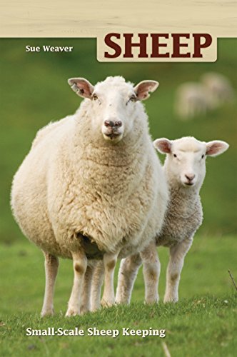 The 7 Best Books On Raising Sheep For A Productive Homestead