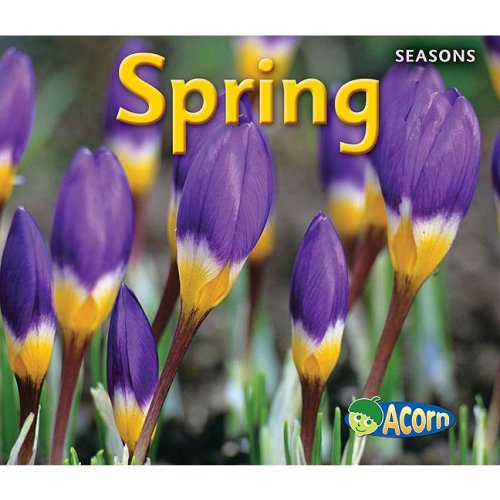 Spring (Seasons): Smith, Sian: 9781432927332: Amazon.com: Books