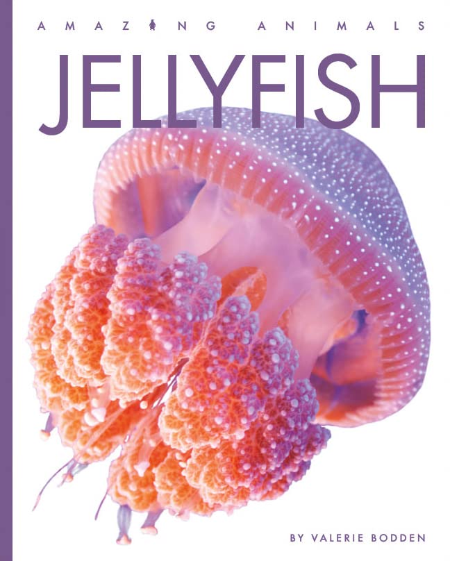 Amazon | Jellyfish (Amazing Animals) (English Edition) [Kindle edition] by Bodden, Valerie ...