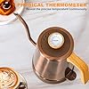 Amazon.com: Nueve&Five Gooseneck Electric Kettle with Thermometer ...