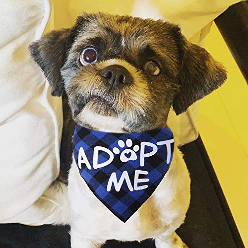 2 Pack Adopt Me Dog Bandana