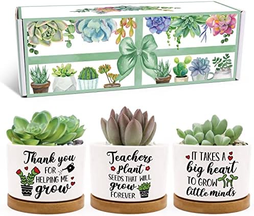 Amazon.com : SAIWEILAI ONLINE 9 Pieces Teacher Appreciation Gifts ...