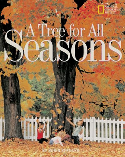 Seasons Preschool Lesson Plans: Ideas for Every Season - Stay At Home ...