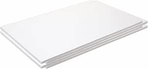 Amazon.com: Construction Paper,White,12 inches x 18 inches,200 Sheets ...