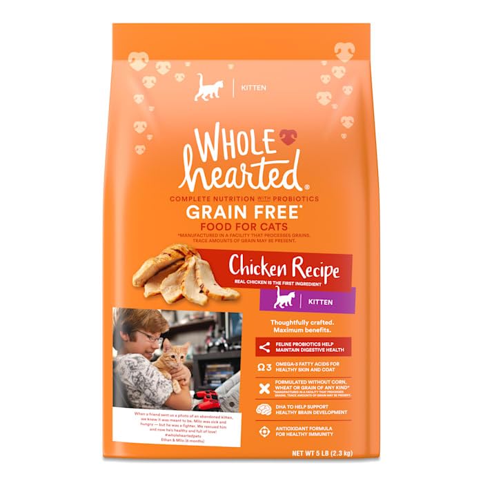 Los 10 Mejores Modelos De Wholehearted