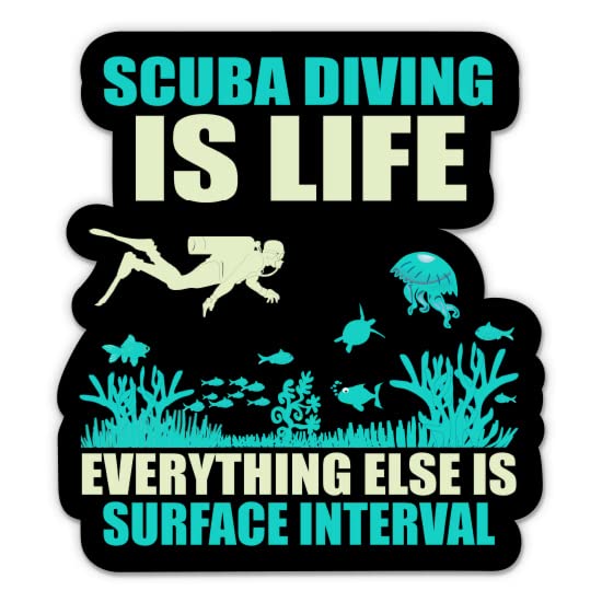 Top 10 Car For Scuba Diving of 2022 - Katynel