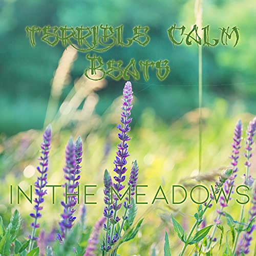 In The Meadows de Terrible Calm en Amazon Music Unlimited
