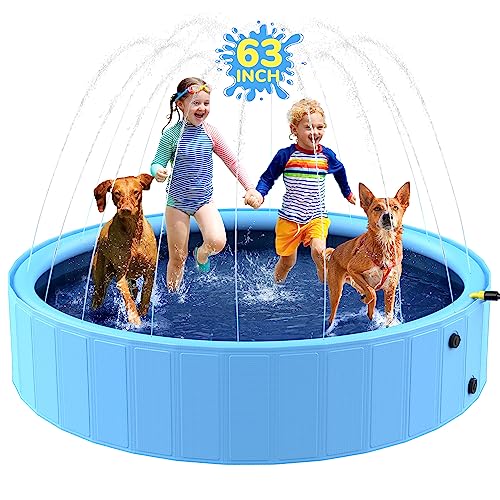 Make a splash with our top 10 rectangle dog pools: Your ultimate buying ...