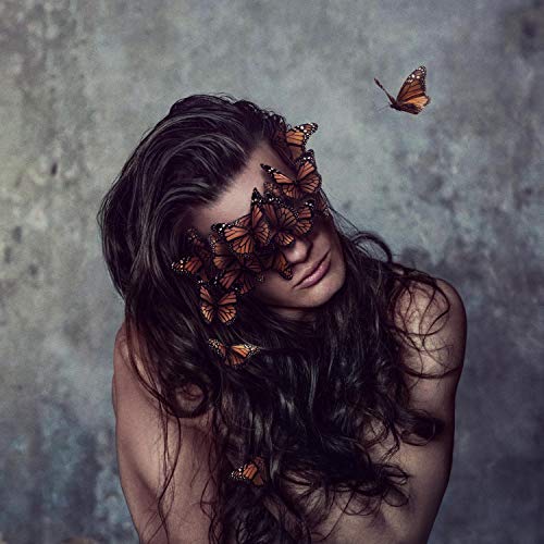 Amazon.com: Monarch : St. Finnikin: Digital Music