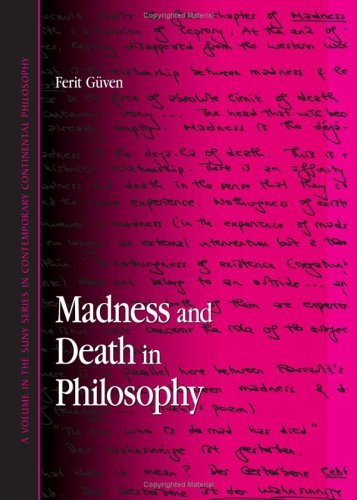 Madness and Death in Philosophy (SUNY series in Contemporary ...