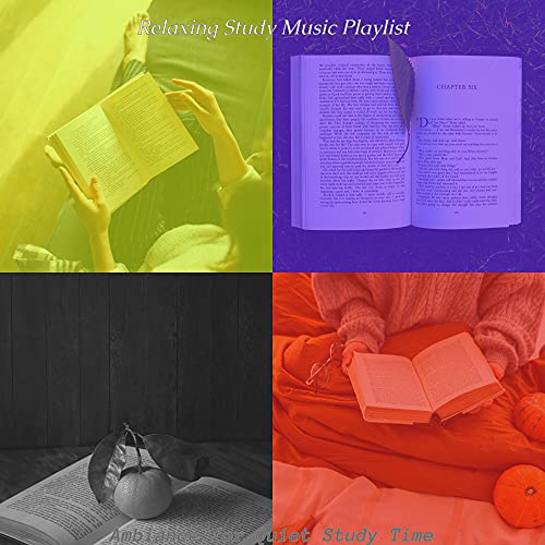 Amazon Music Unlimited - Relaxing Study Music Playlist 『Ambiance for ...