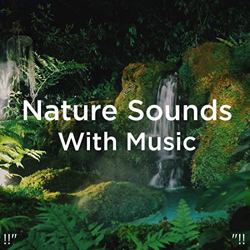 Play !!" Nature Sounds With Music "!! by Nature Sounds Nature Music ...