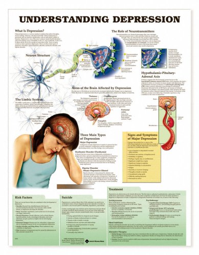 Understanding Depression Anatomical Chart Unmounted-9974PU: Science ...