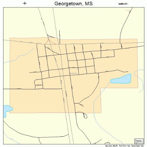 Large Street & Road Map of Georgetown, Mississippi MS - Printed poster ...