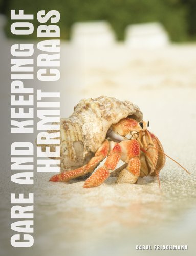 Care and Keeping of Hermit Crabs eBook : Frischmann, Carol: Amazon.co ...