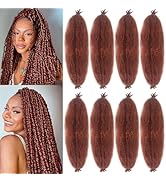 Amazon.com : Springy Afro Twist Hair 24 Inch Marley Twist Braiding Hair ...