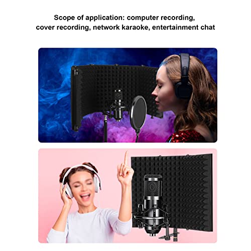 Microphone Sound Isolation Shield Foldable Studio Recording Microphone ...