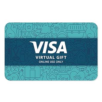 Amazon.com: Visa Virtual $100 eGift Card (plus $5.95 Purchase Fee ...