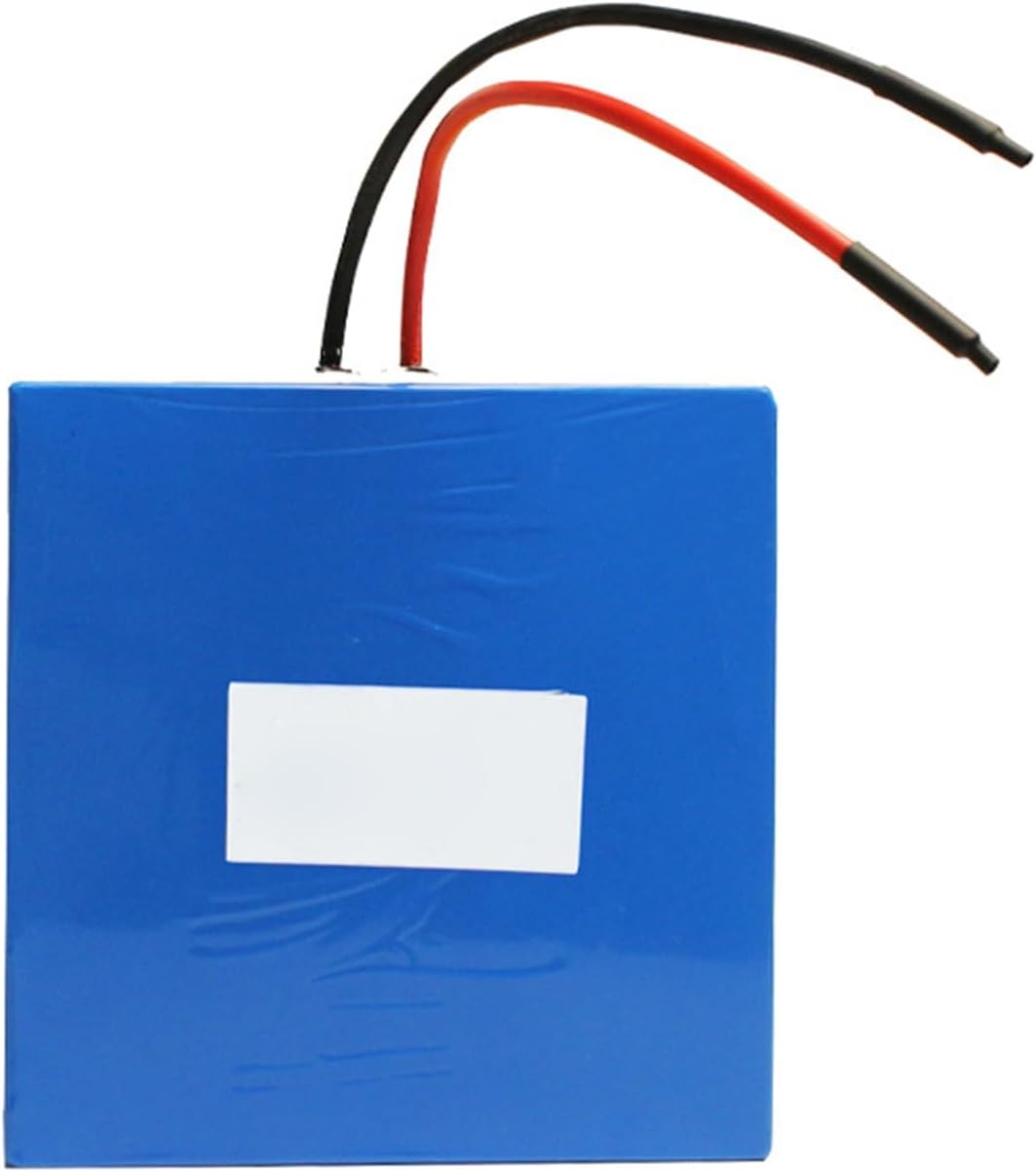 Amazon.com: NALMAXO Power Lithium Iron Phosphate Battery 12v20ah Large ...