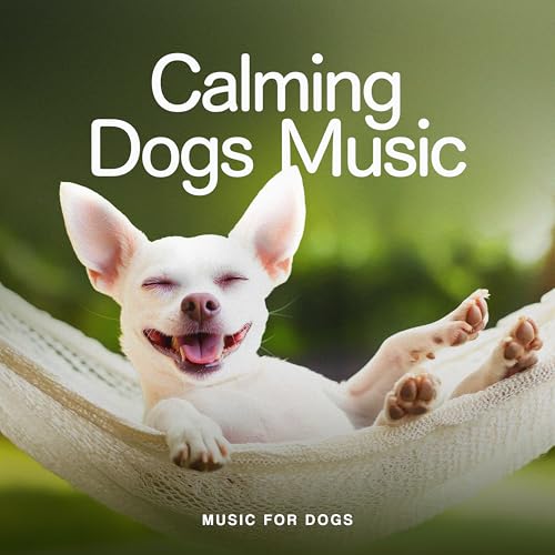 Play Calming Dogs Music by Music For Dogs on Amazon Music