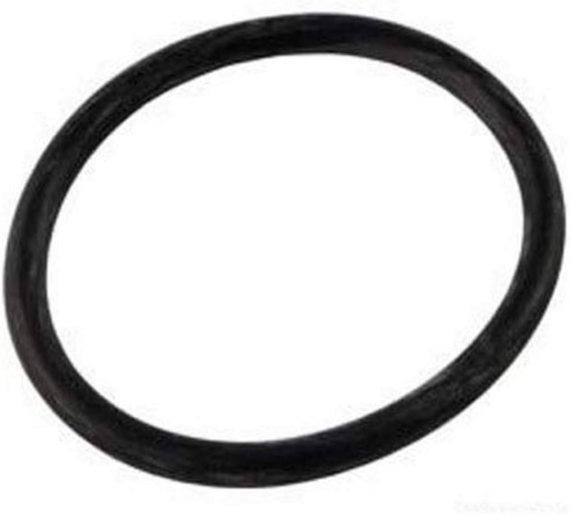 Amazon.com: Hayward GLX-UNION-ORING T-Cell Union O-Ring Replacement for ...