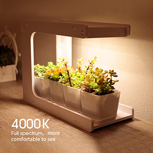 The Best Desk Lamps For Keeping Your Plants Happy