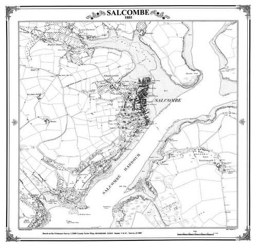 Salcombe 1885 Map: Heritage Cartography: 9781903004210: Amazon.com: Books