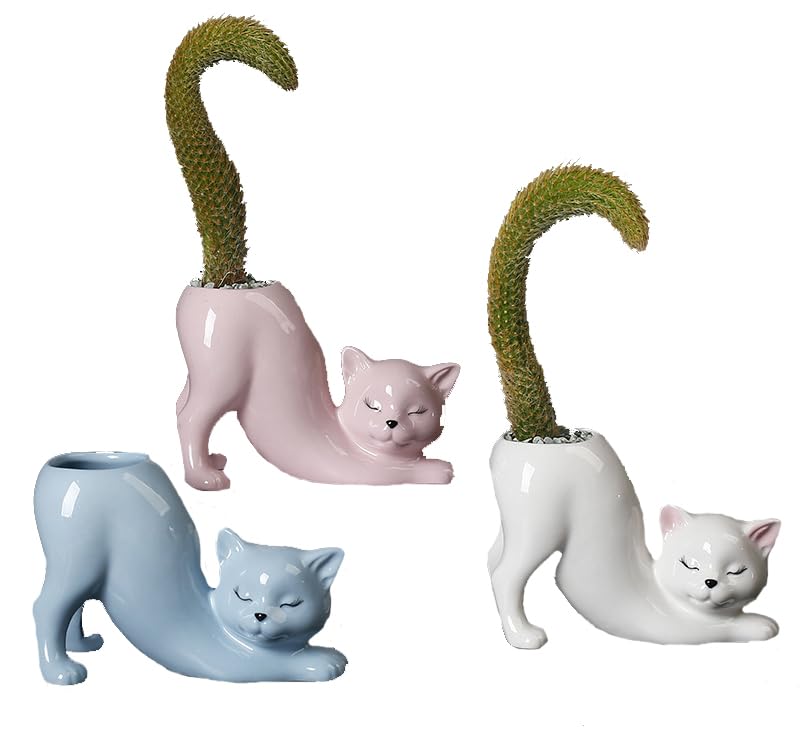 Amazon.com : Creative Cute Cat Tail Column Planter,Cute Cat Succulent ...