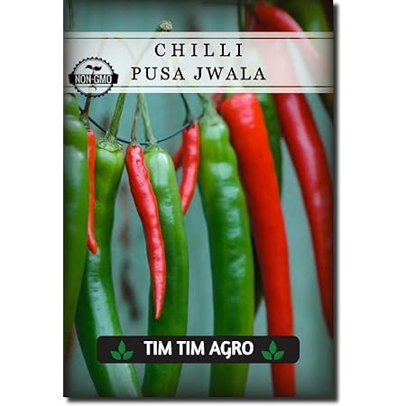 Chilli Pusa Jwala Garden Seeds, Hot Pepper Seeds - 10g Packet ...