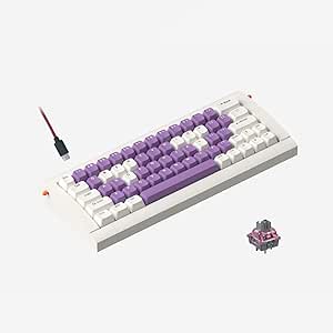 Amazon.com: KBDcraft 02Lilith 60% 5.5° Ergonomic Keyboard with OEM ...