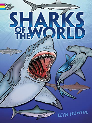 Shark Week Books for Kids {Ocean Animals Unit Study}